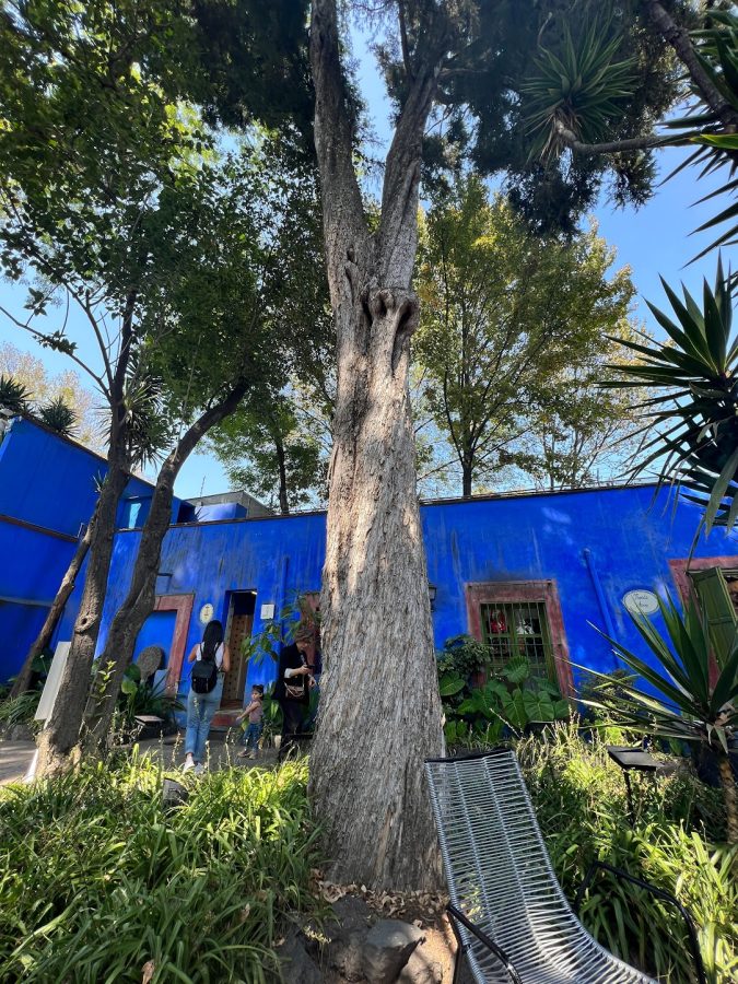 An Inside Look at Frida Kahlo's Home, La Casa Azul in Mexico City: A ...